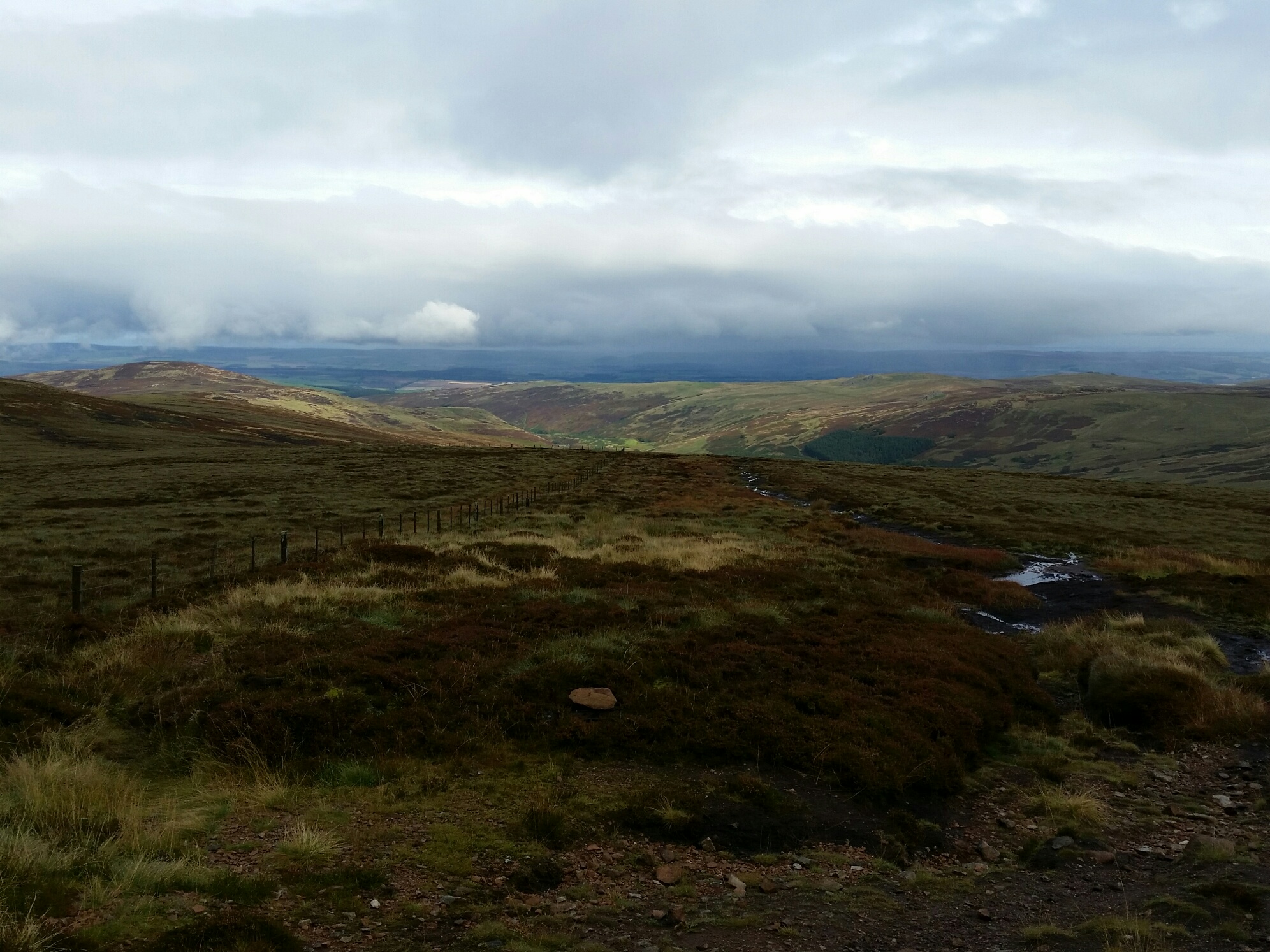 Ultimate beginner’s guide to walking the Cheviot Hills | Katrina Megget